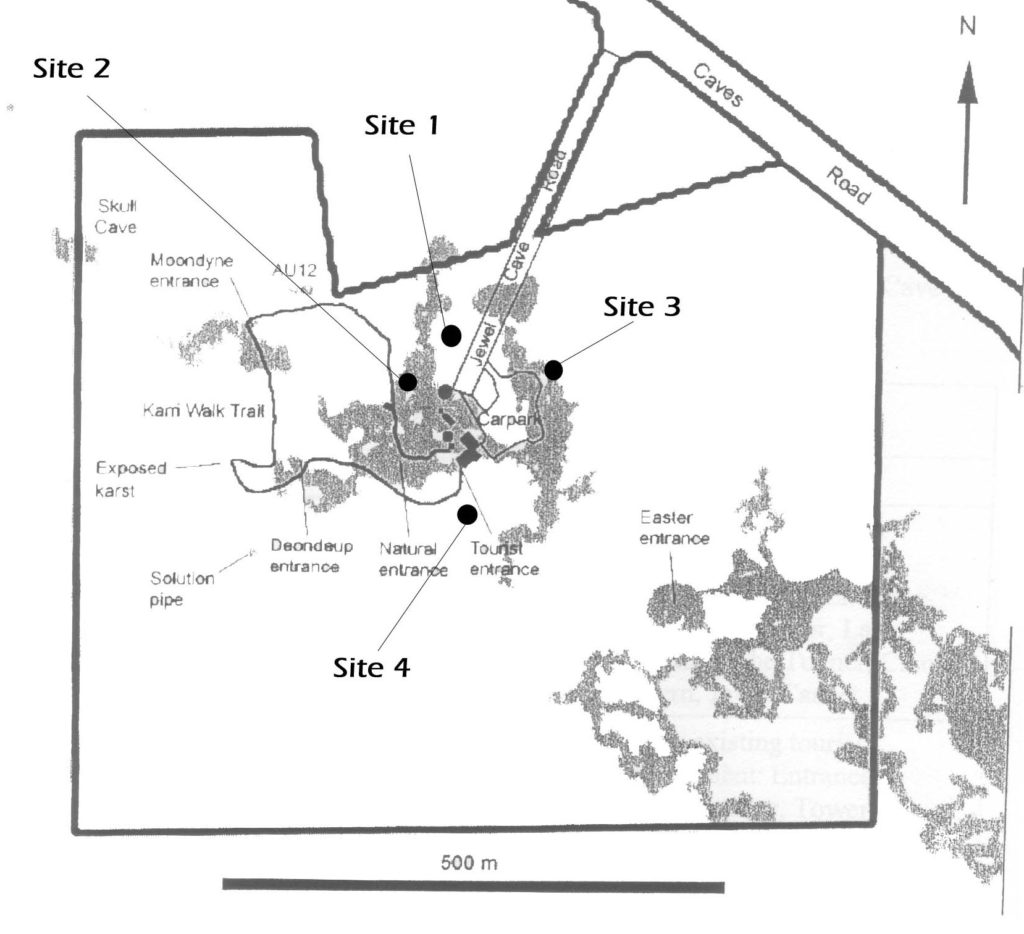 Earthcare, ecology, environment, regenerative bushland management ...
