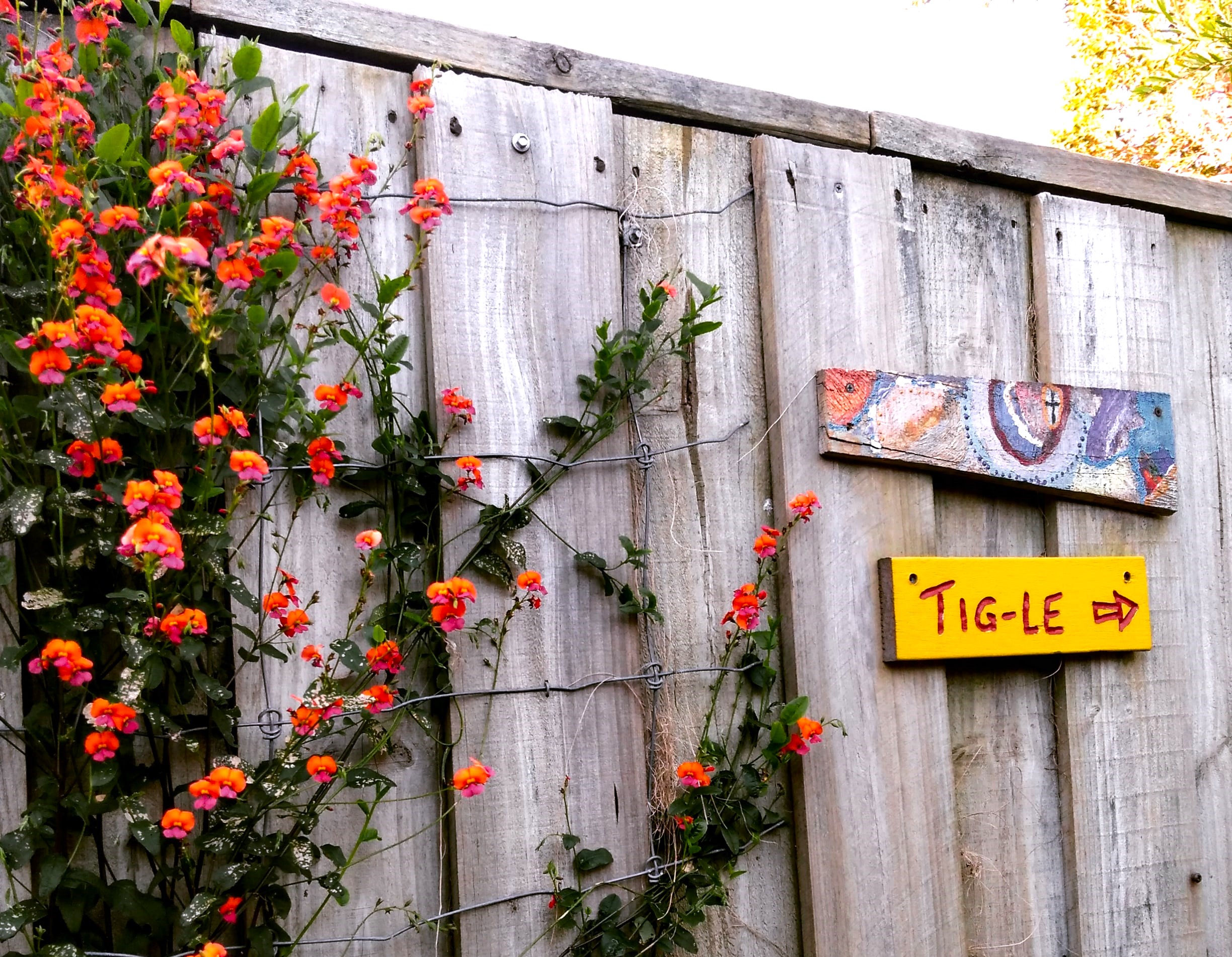 Media Library - Tig-Le House